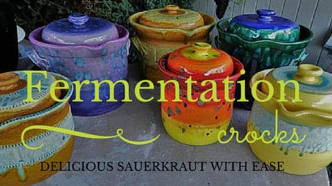 Fermentation Crocks: The Who, What, Where, When, Why and How ...