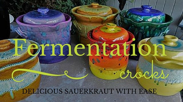 Fermentation Crocks: The Who, What, Where, When, Why and How ...