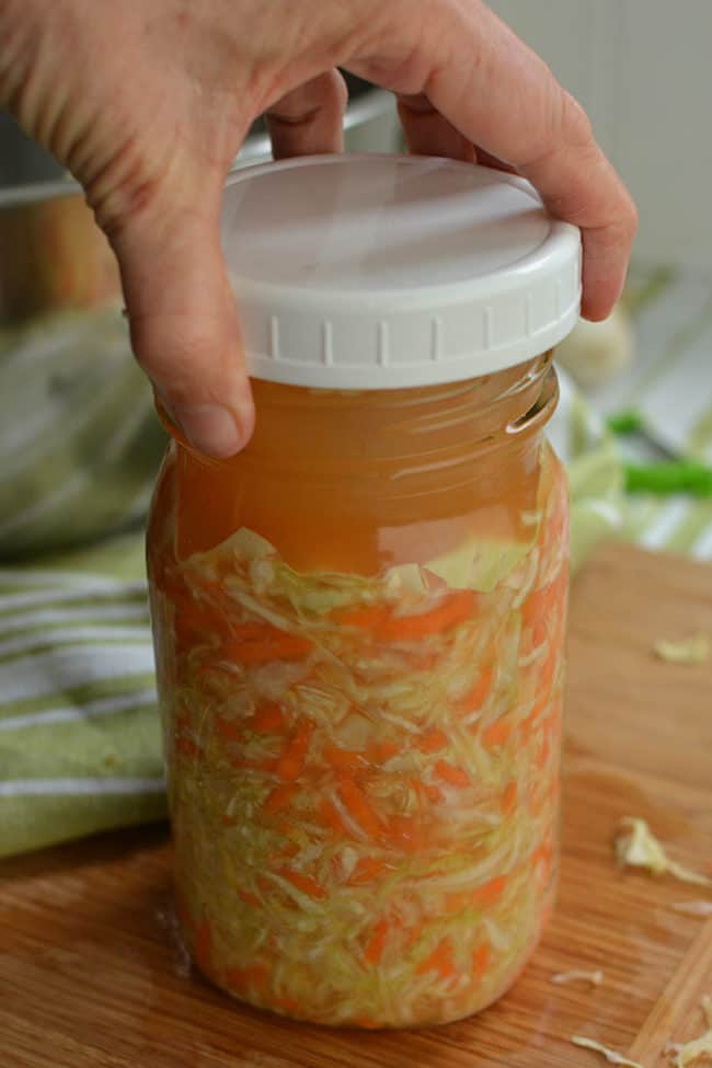 New to Fermentation? Start Here: Beginner's Guide to Sauerkraut ...