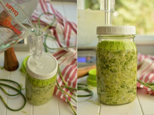 Pickle-Pushing No-Float Jar-Packer Review: Ingenious - MakeSauerkraut