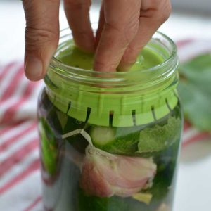 Naturally Fermented Pickles [The Complete Guide] - MakeSauerkraut