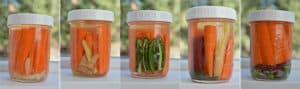 5 Simple Fermented Carrot Sticks [Crunchy Good] - MakeSauerkraut