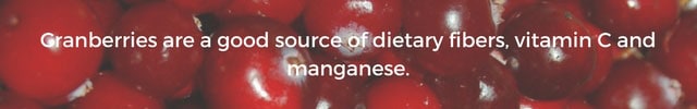 3 Delectable Fermented Cranberry Recipes [Year Round Enjoyment ...