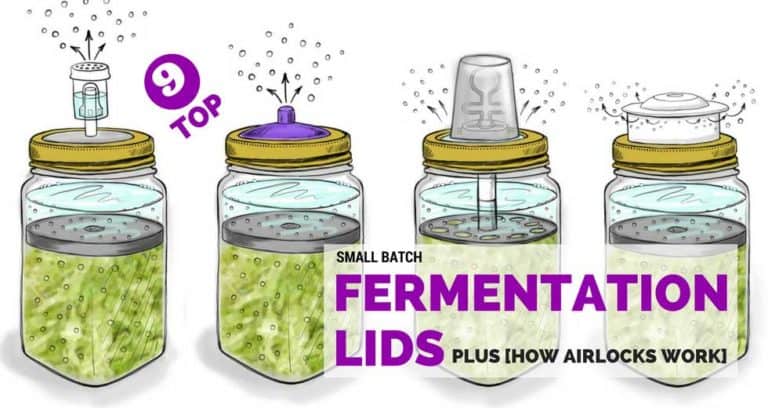 9 TOP Fermentation Lids for Mason Jar Fermentation [HOW AIRLOCKS WORK ...