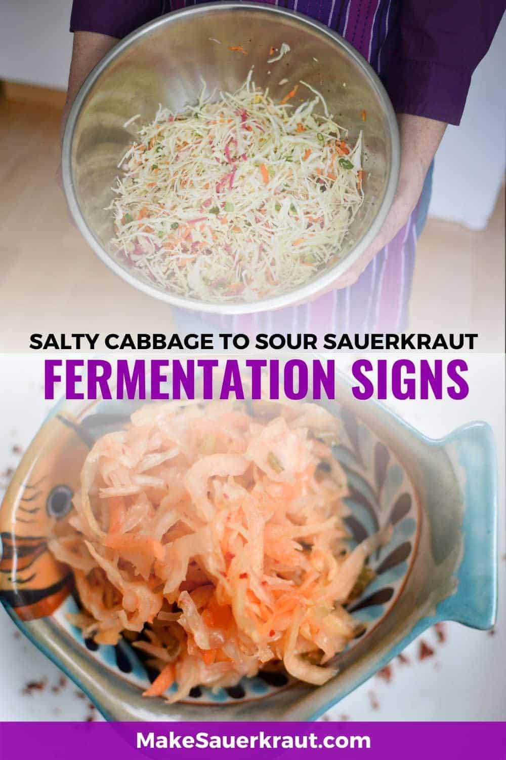 SALTY Cabbage to SOUR Sauerkraut: Fermentation Signs to Monitor ...
