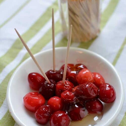 3 Delectable Fermented Cranberry Recipes [Year Round Enjoyment ...
