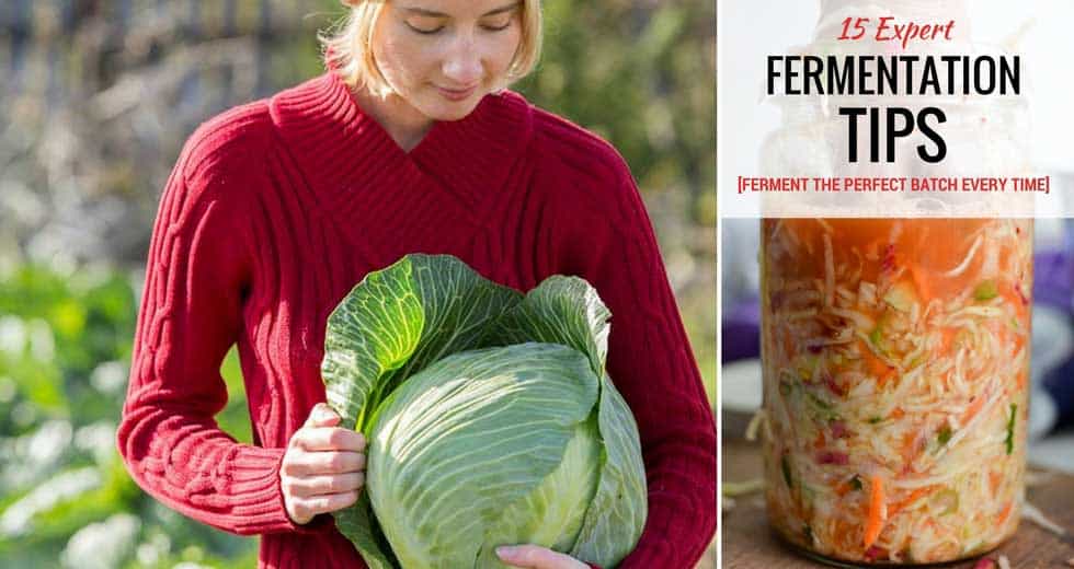 15 EXPERT Fermentation Tips to Ferment the Perfect Batch Every Time - MakeSauerkraut