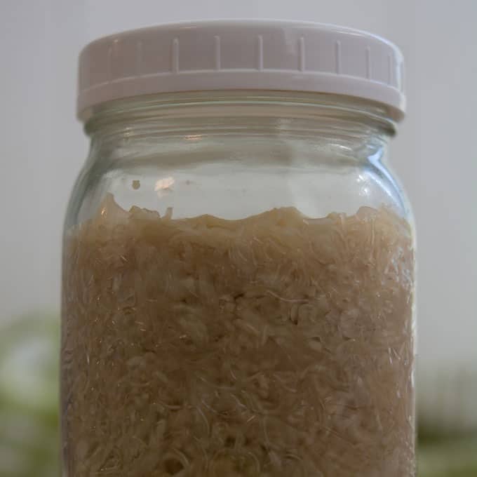 BEST Fermentation Weight for Fermenting in Jars [28-Day Challenge ...