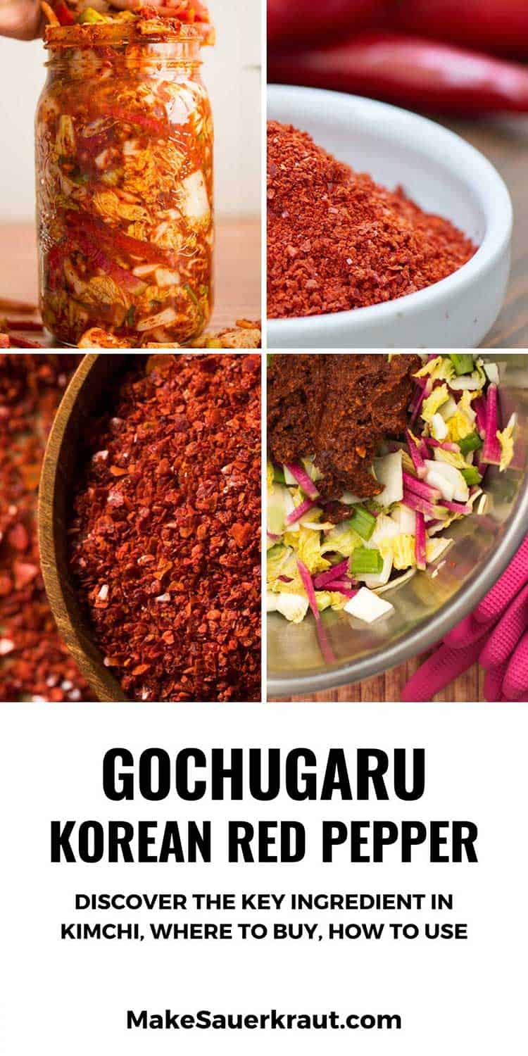 Gochugaru, Korean Red Chili Powder [Buy + Use Guide] - MakeSauerkraut