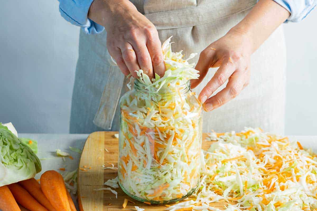 Best Fermentation Tips [Embrace those B.U.G.S.S.S.] - MakeSauerkraut