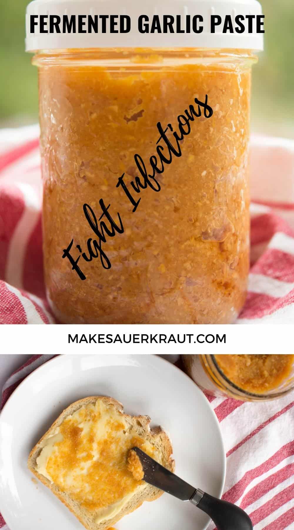 Immune-Boosting Fermented Garlic Paste [Ways to Eat] - MakeSauerkraut