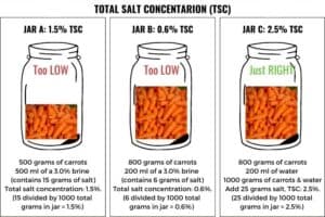 Salt Concentration Chart for Vegetable Pickles - MakeSauerkraut