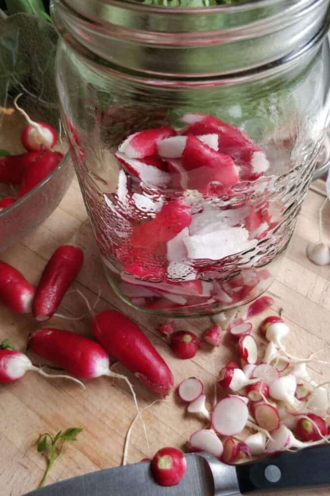 Fermented Radish Pickle Recipe {Simple} - MakeSauerkraut
